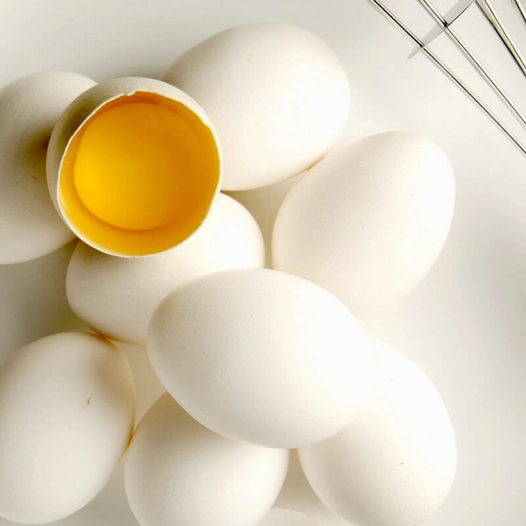 Dairy and Eggs | Sump & Stammer GmbH | International Food Supply